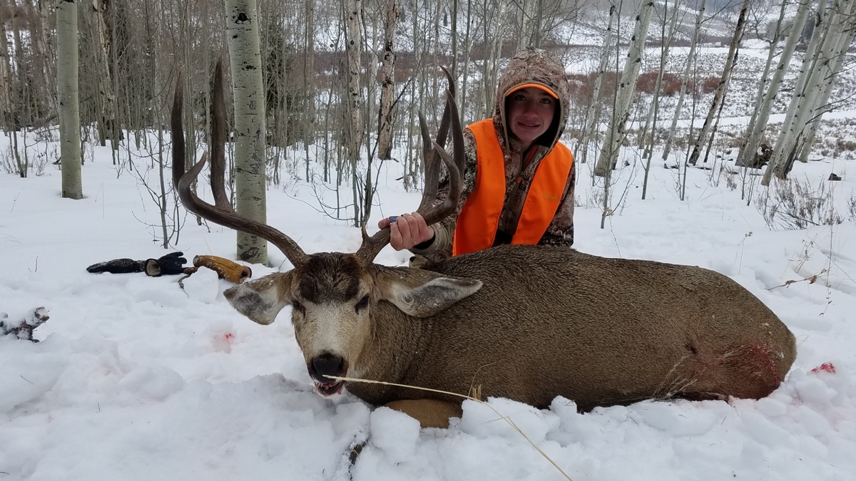 Colorado Mule Deer Hunts | Colorado Mule Deer Hunting Outfitters & Guide