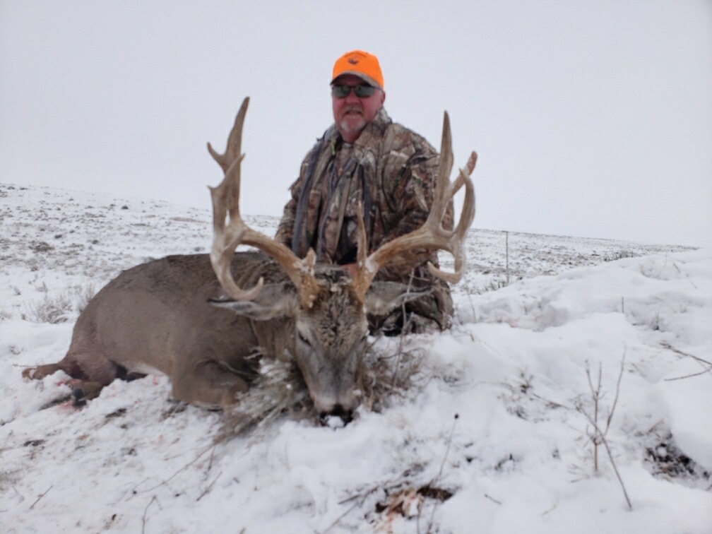 Colorado Guided Whitetail Hunts | Free Range Hunting Outfitter