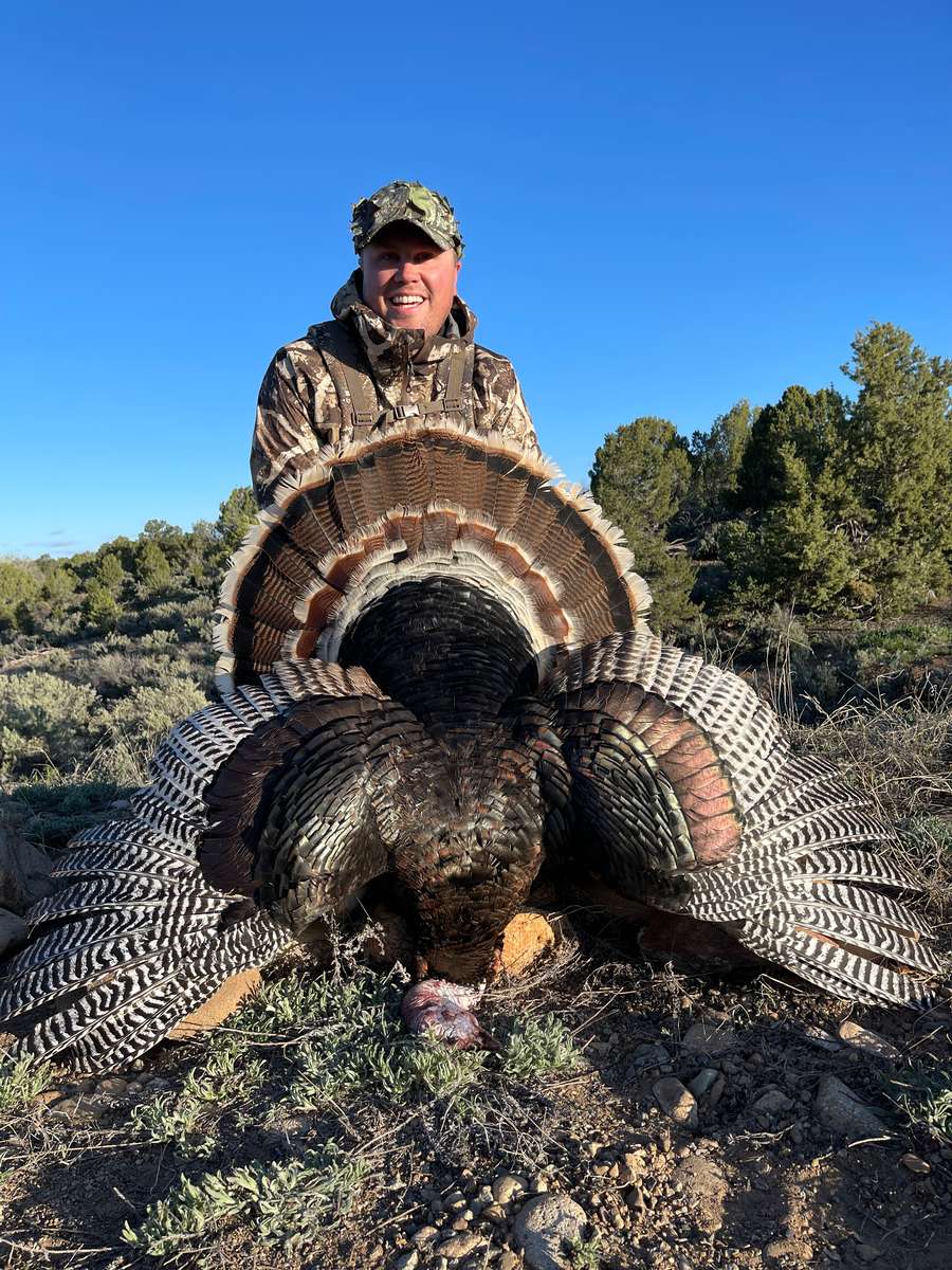 Guided Merriam's Turkey Hunts | Colorado Turkey Hunting Outfitters