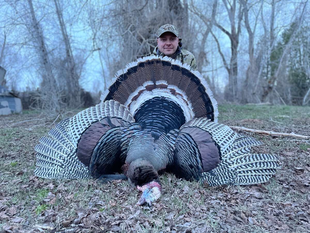 Guided Merriam's Turkey Hunts | Colorado Turkey Hunting Outfitters