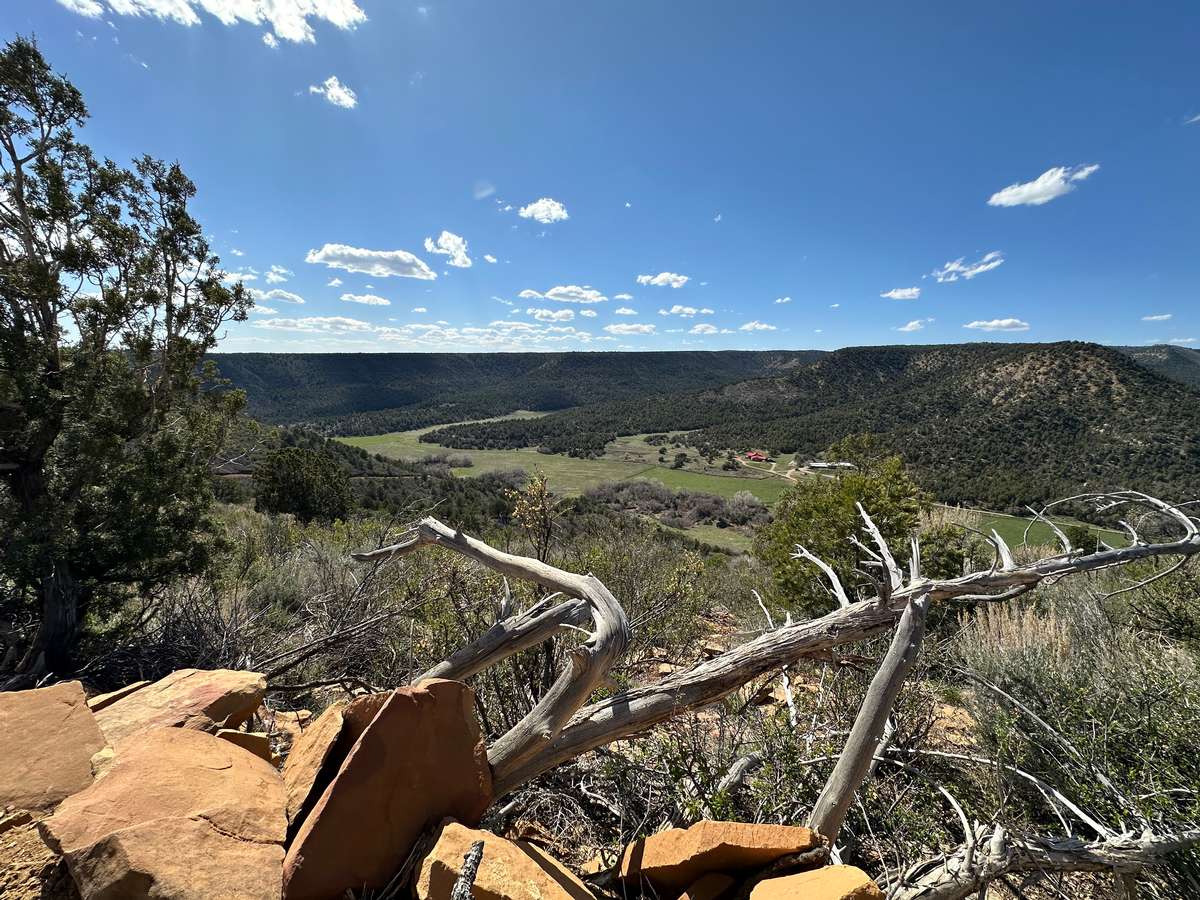 Guided Merriam's Turkey Hunts | Colorado Turkey Hunting Outfitters